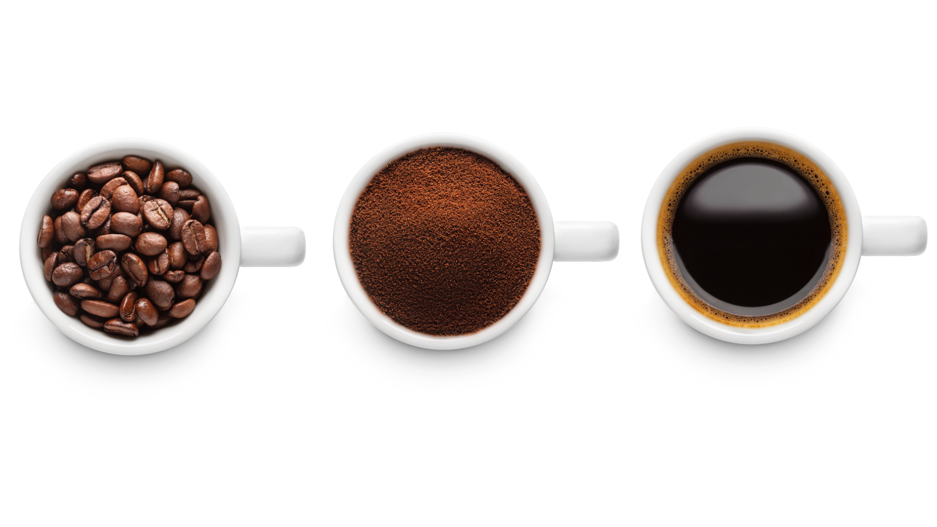 SindRio é parceiro oficial do Rio Coffee Nation 2023 – SindRio